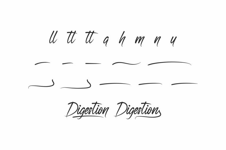 Digestion Font By NihStudio