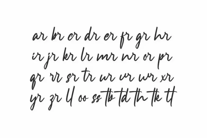 Brooklyn Park Signature Font By NihStudio